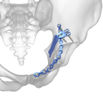 Pelvic Plating System | Acumed